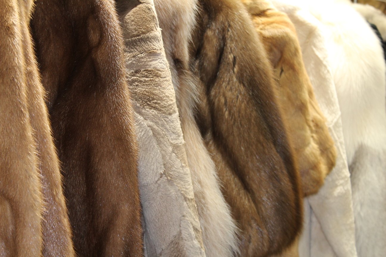 Elegant Furs